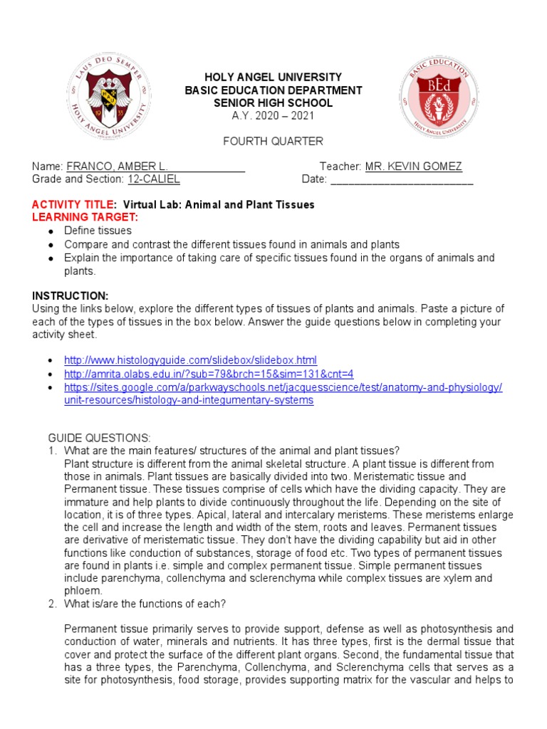 Virtual Lab Tissues Comparison | PDF | Tissue (Biology) | Biology