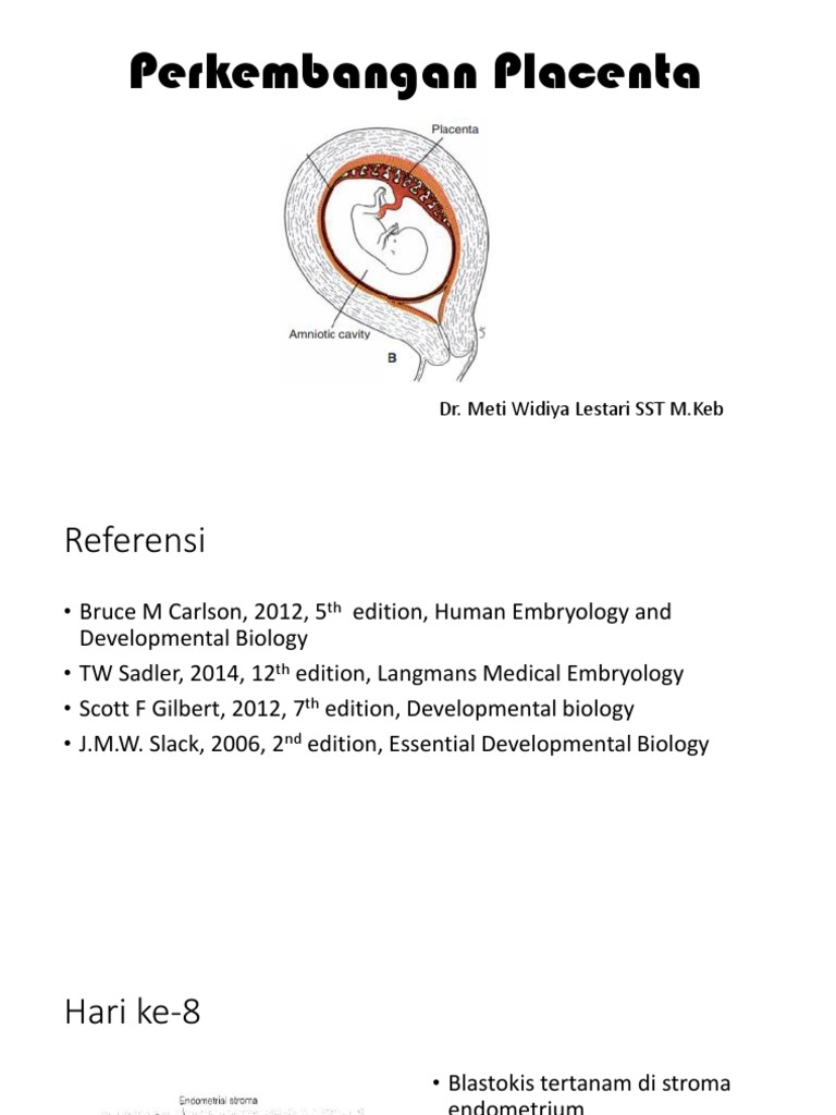 Perkembangan Placenta | PDF