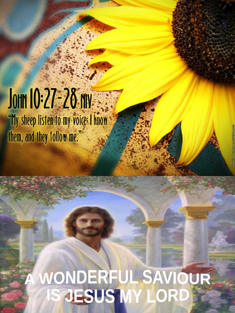 A Wonderful Saviour | PDF