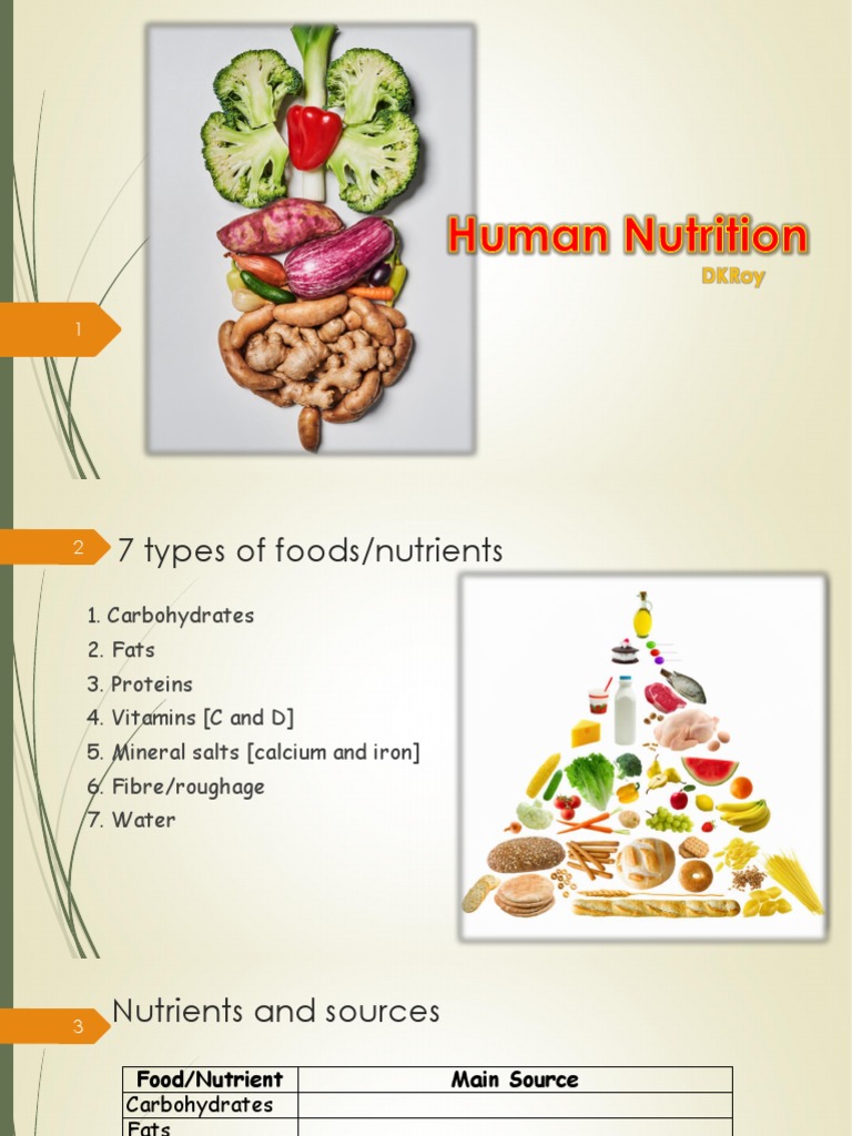 9 Human Nutrition | PDF | Digestion | Small Intestine
