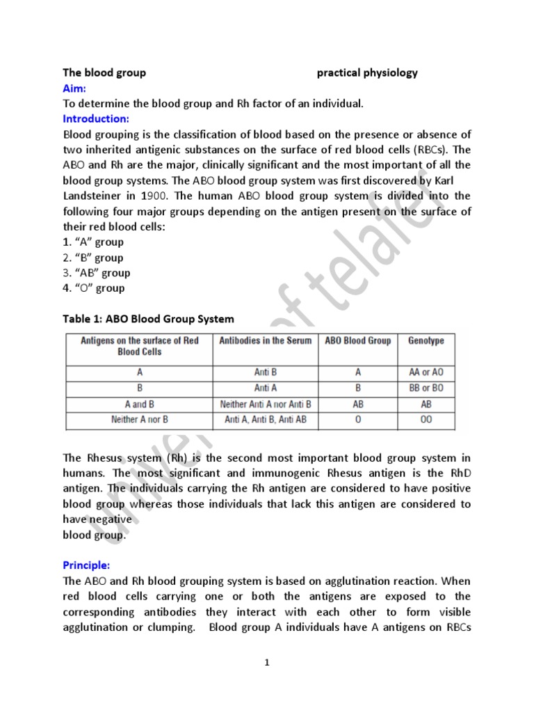 Blood Group | PDF | Blood Type | Histology