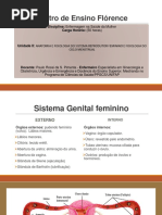 Estadiamento de Tanner na Puberdade | PDF | Puberdade | Anatomia animal