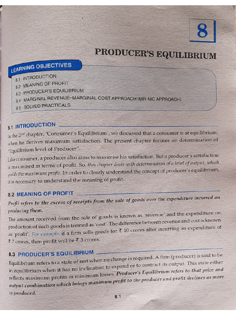 Producer's Equilibrium XI Class | PDF