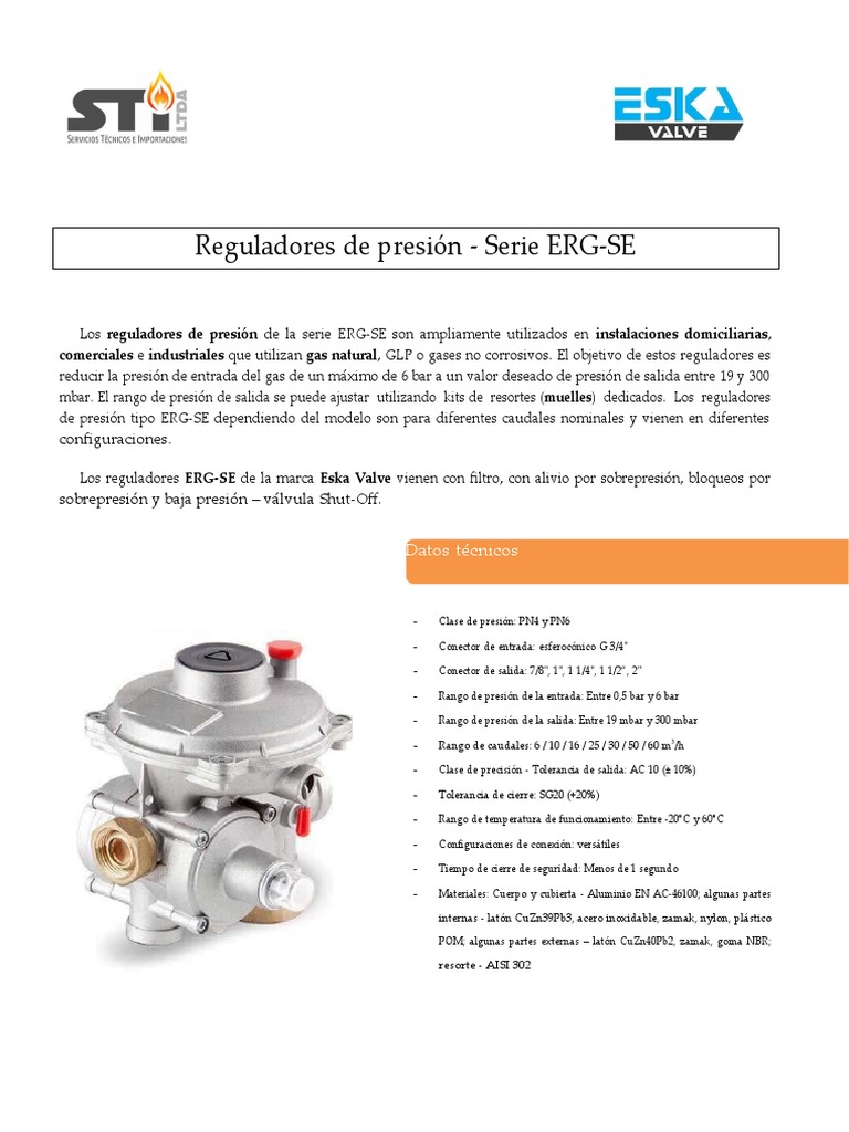 Reguladores ERG-SE para gas natural | PDF | Química | Materiales