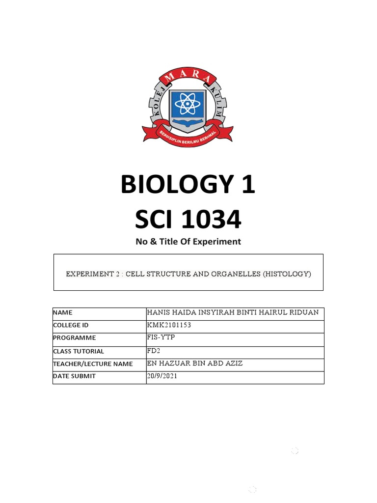 Bio Exp 2 Hanis Haida | PDF | Epithelium | Tissue (Biology)