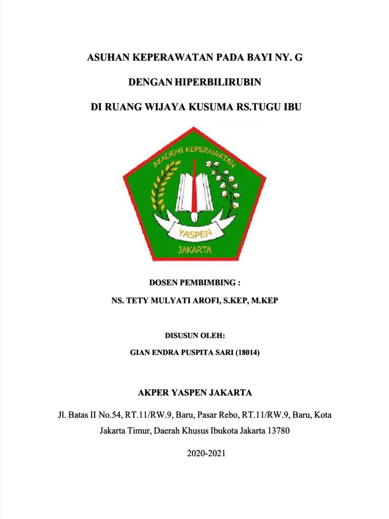 PDF Askep Hiperbilirubin Gian Endra 108014 PDF DL | PDF | Kesehatan Holistik
