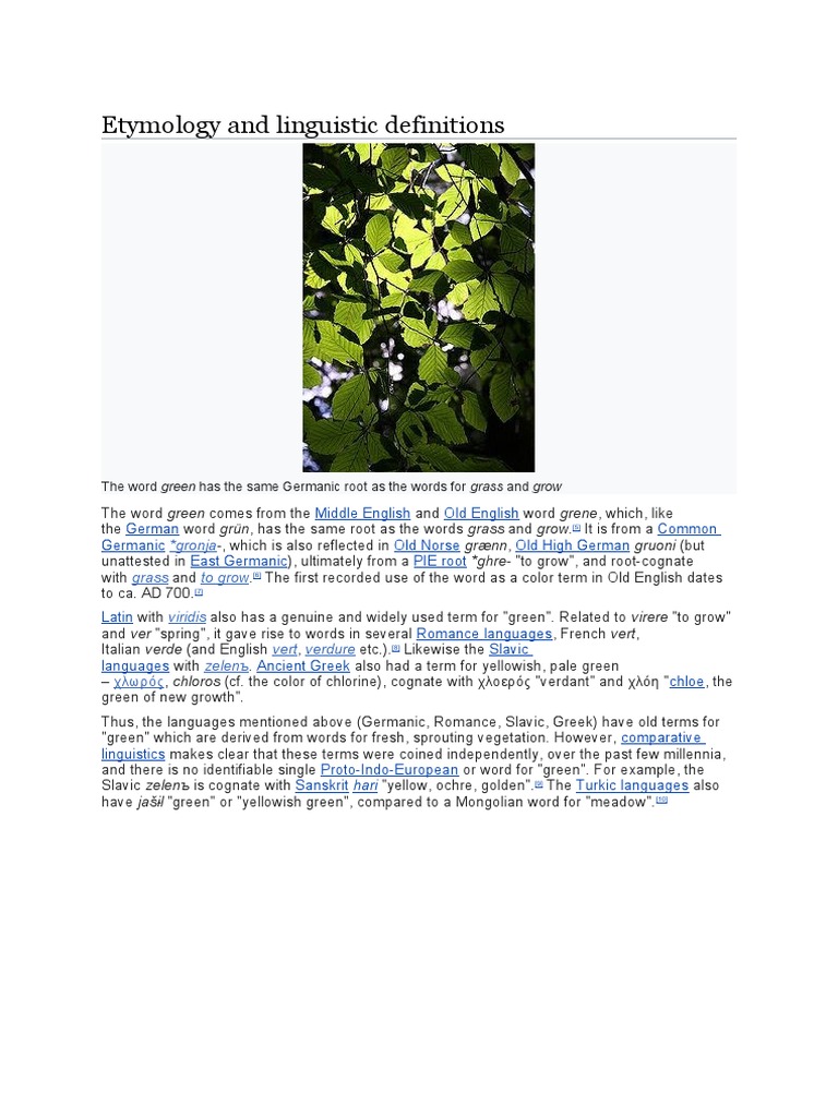 Etymology and Linguistic Definitions | PDF