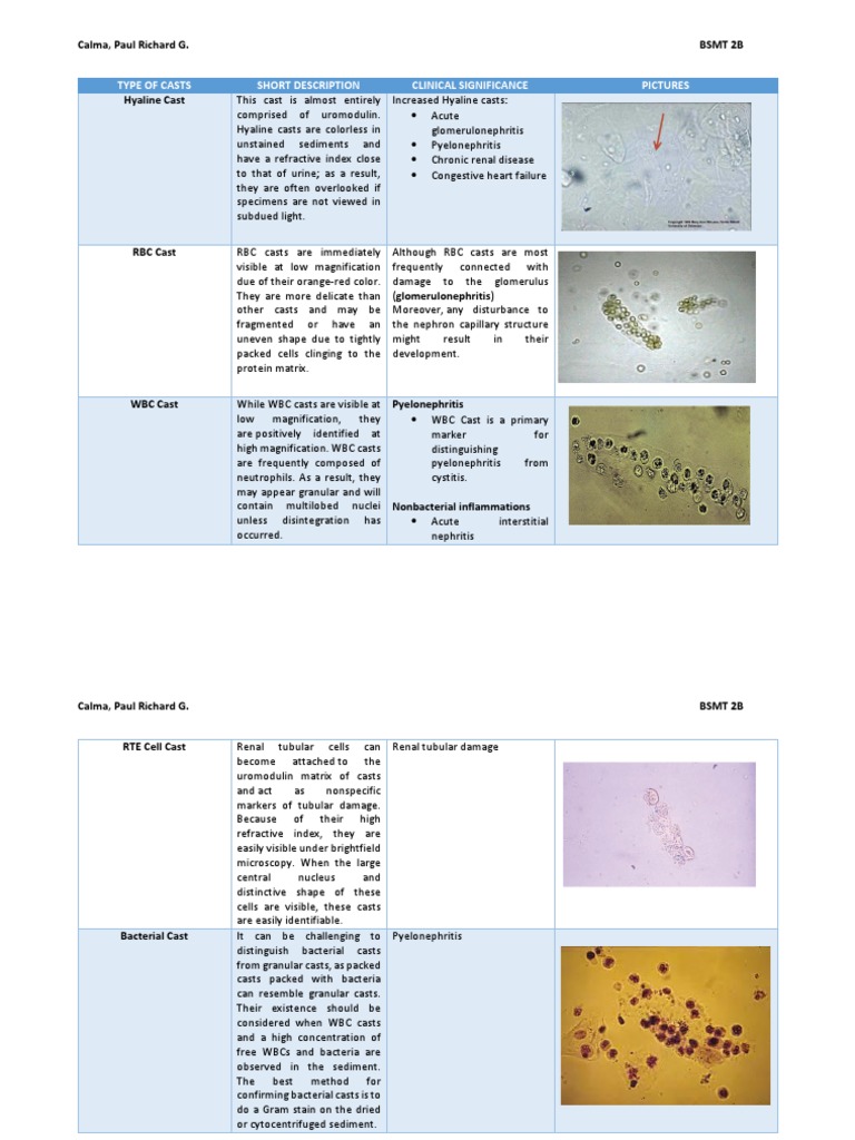 Cellular Elements That You Can See On Urine Microscope | PDF | Medical ...