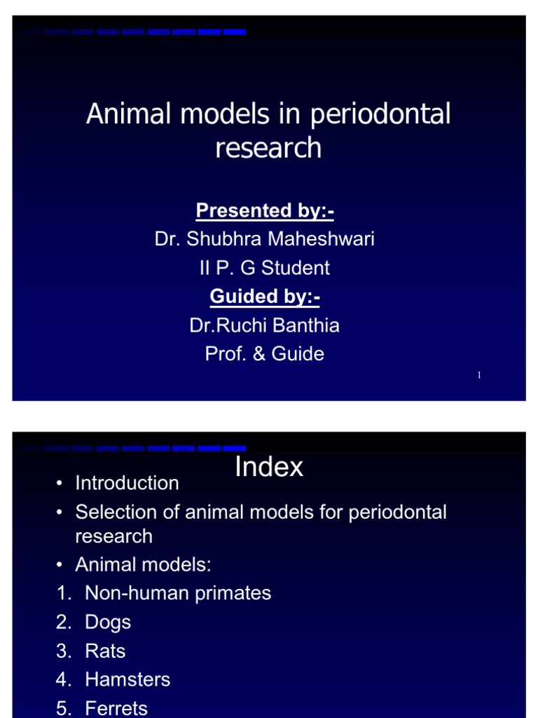 Animal Models in Periodontal Research | PDF | Human Tooth | Model Organism