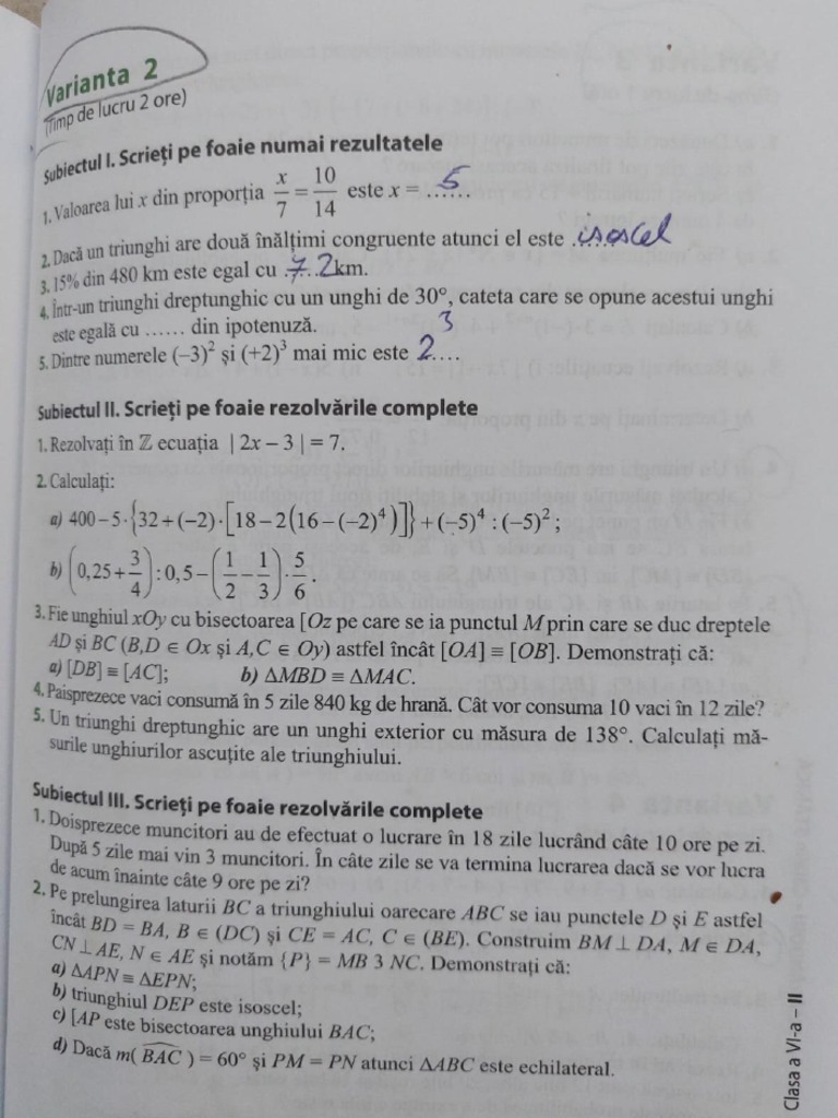 Test Mate Clasa 6 | PDF