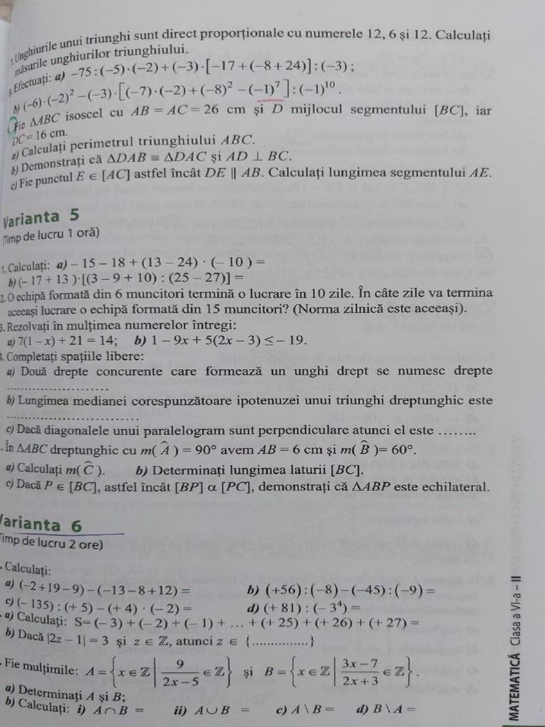 Test Mate Clasa 6 | PDF