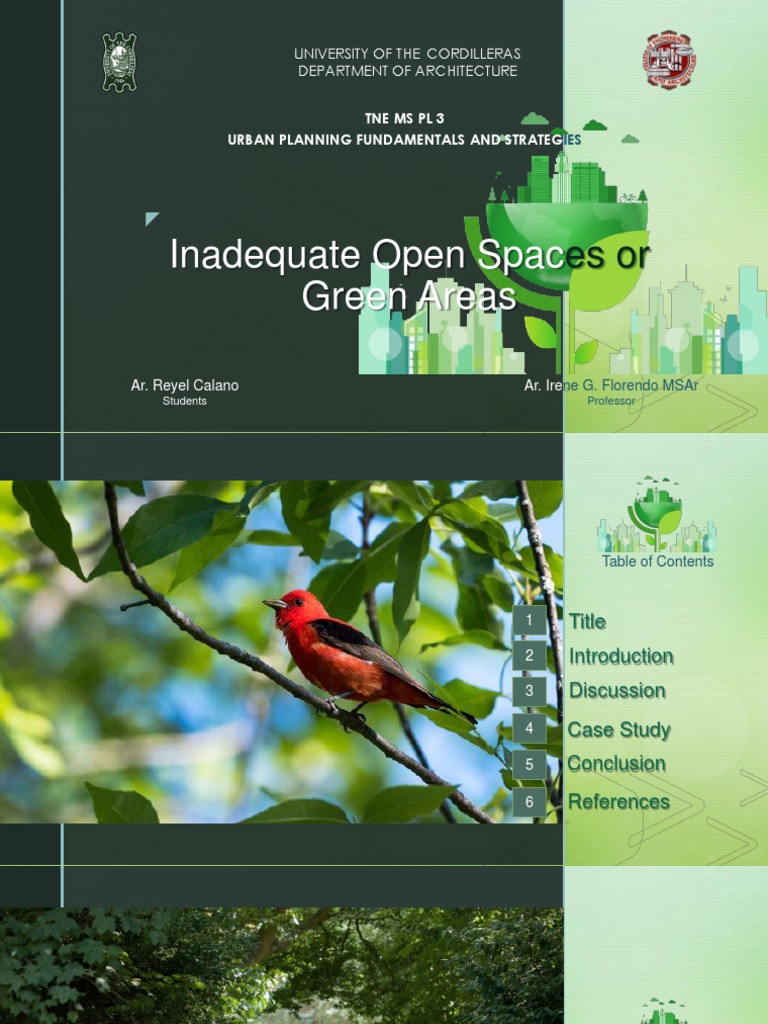 Inadequate Open Spaces or Green Areas - pdf2 | PDF | City | Natural ...
