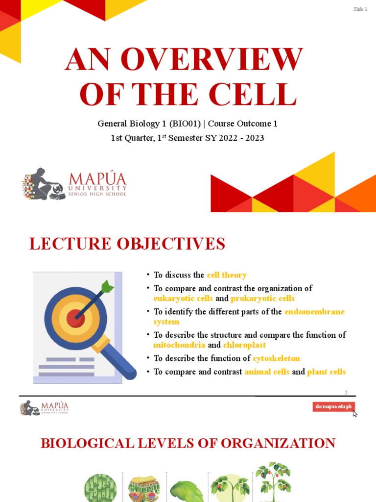 BIO01 CO1 PPT - An Overview of The Cell | PDF | Cell (Biology ...