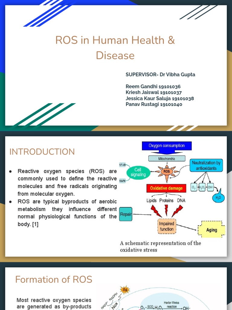 ROS in Human Health & Disease | PDF | Reactive Oxygen Species ...