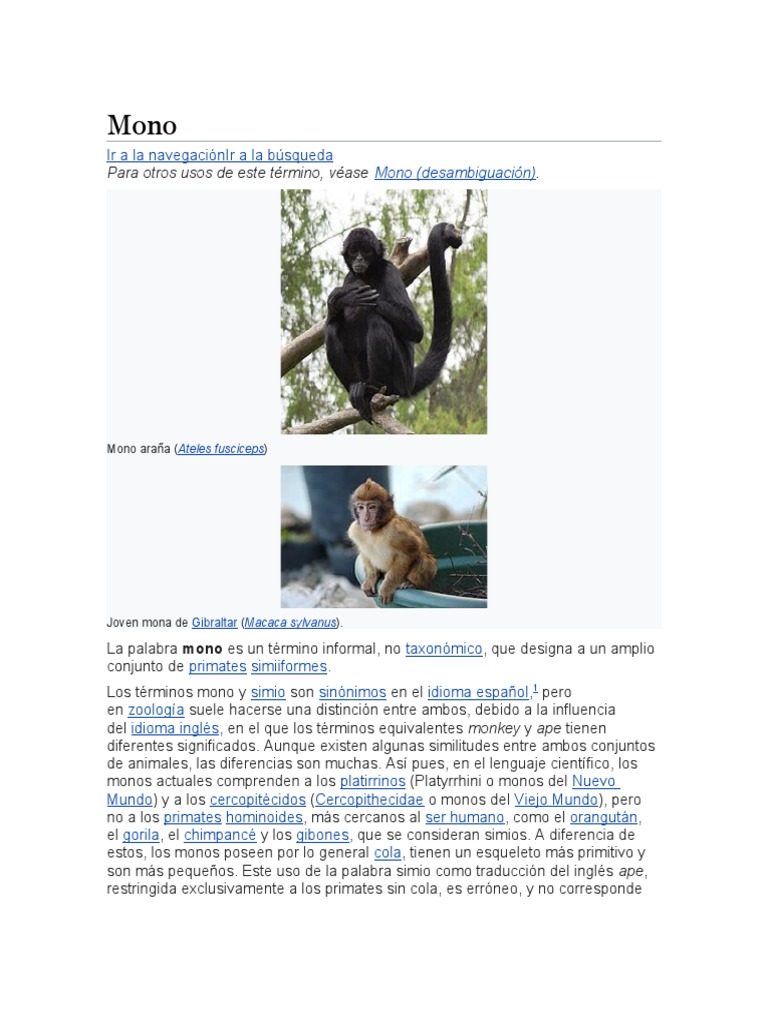Mono | Descargar gratis PDF | Mono | Taxonomía de mamíferos