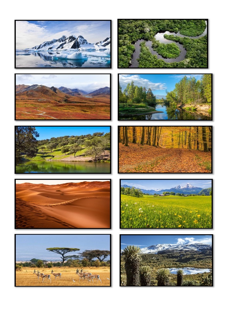 Los Biomas de La Tierra (Para Imprimir) | PDF