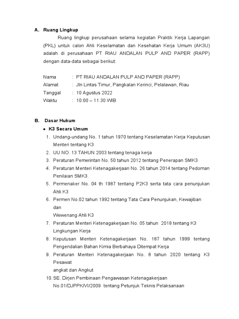 Kondisi Perusahaan RAPP | PDF