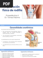 Maniobras para Evaluar la Rodilla | PDF | Rodilla | Anatomía humana