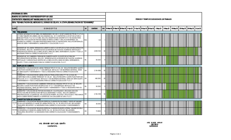 Programa de Obra | PDF