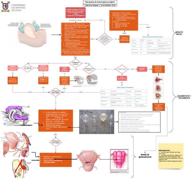 Flujograma Hemorragias Post Parto FSC | PDF | Sangre | Parto