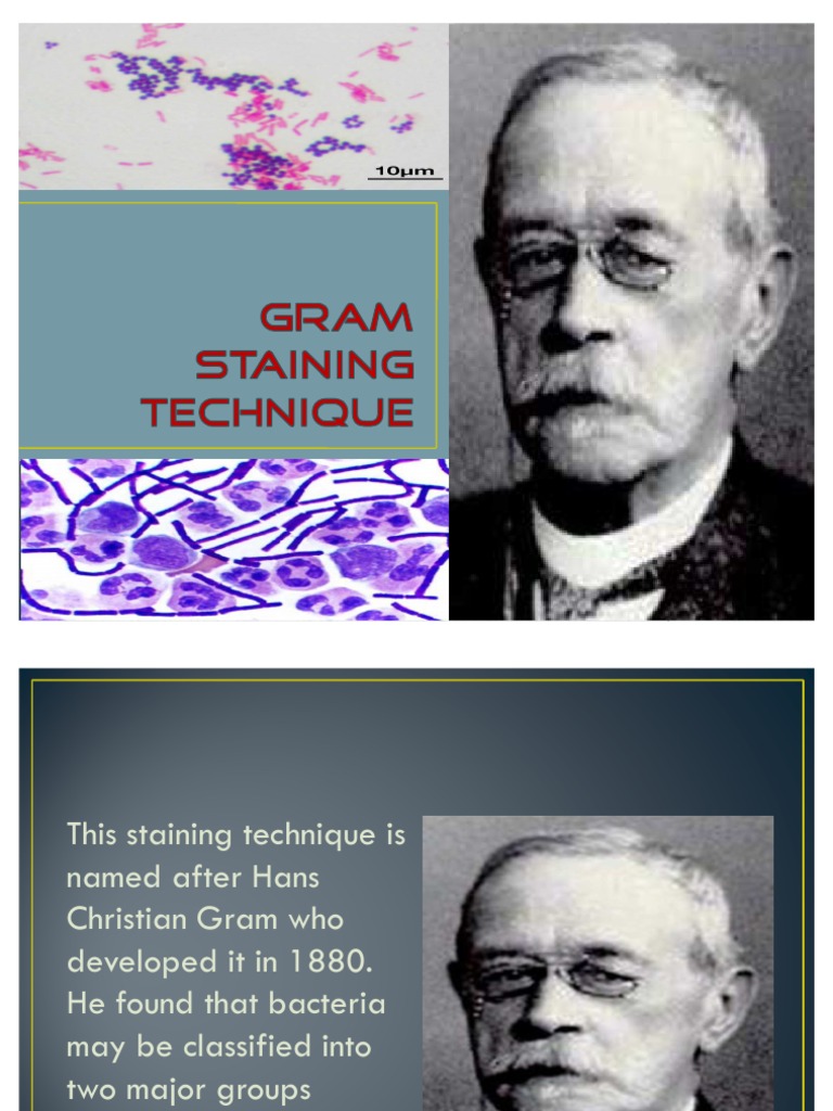 Gram Staining Technique | PDF | Gram Positive Bacteria | Prokaryote