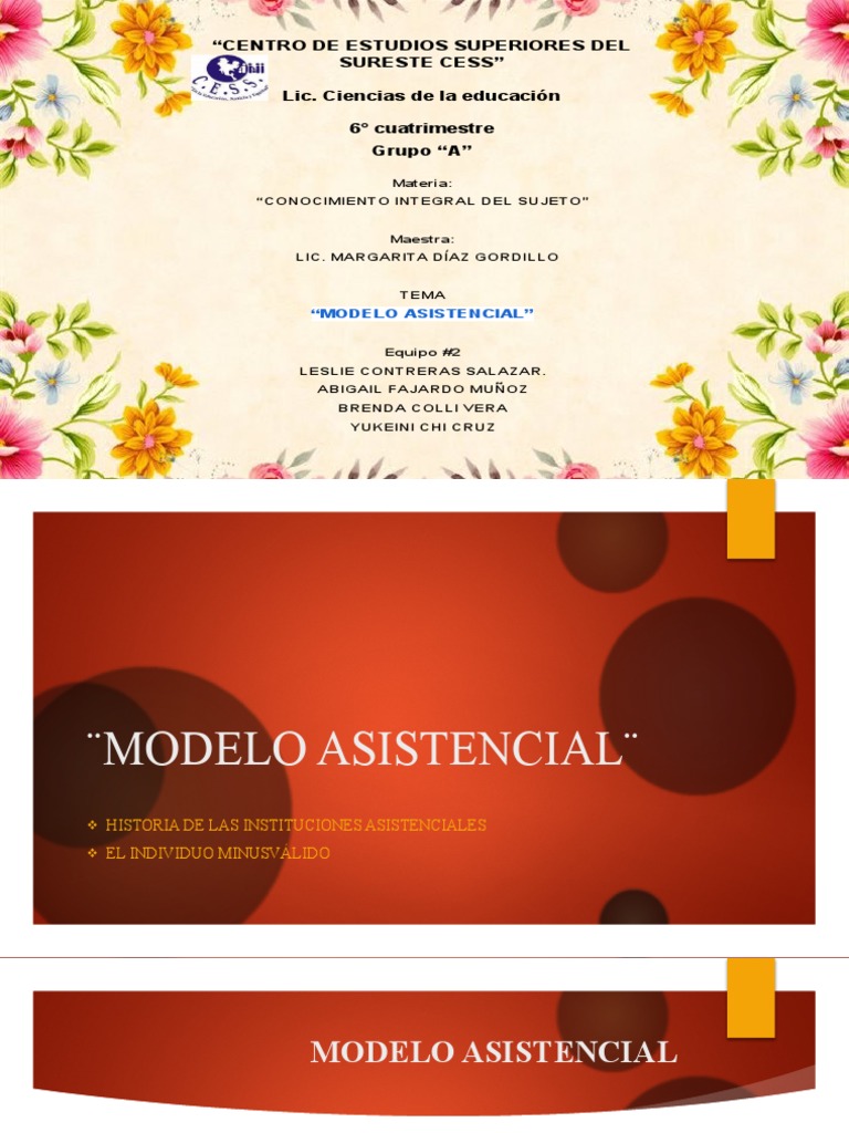 Tema 2 Modelo Asistencial | PDF | Invalidez | Hospital