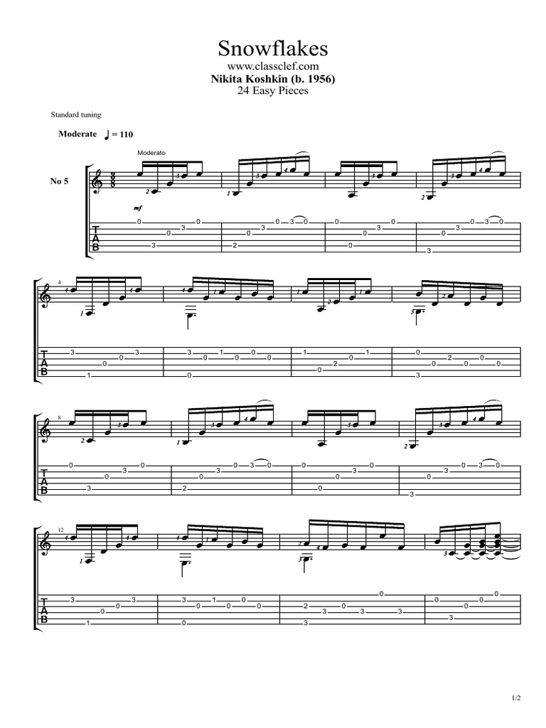 Snowflakes by Nikita Koshkin | PDF