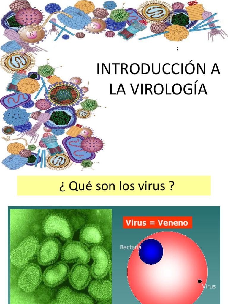 Virologia Introduccion | PDF | Virus | Rna