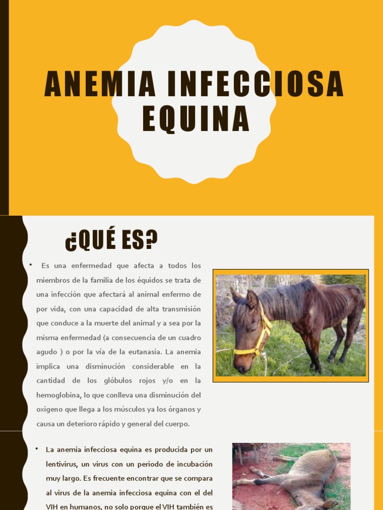 Anemia Infecciosa Equina: Causas y Prevención | PDF | Virus | Infección