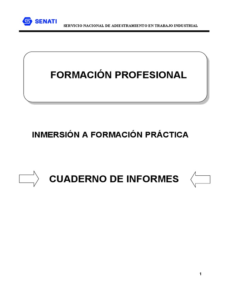 Cuaderno de Informes - IFP | PDF