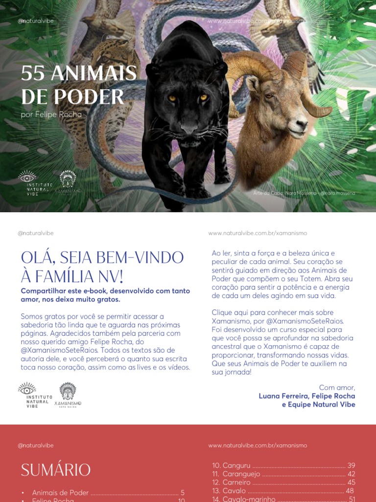 Felipe Rocha - 55 Animais de Poder | PDF