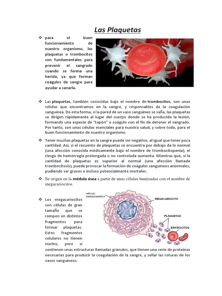 Sala 3 Plaquetas | PDF | Plaqueta | Sangre