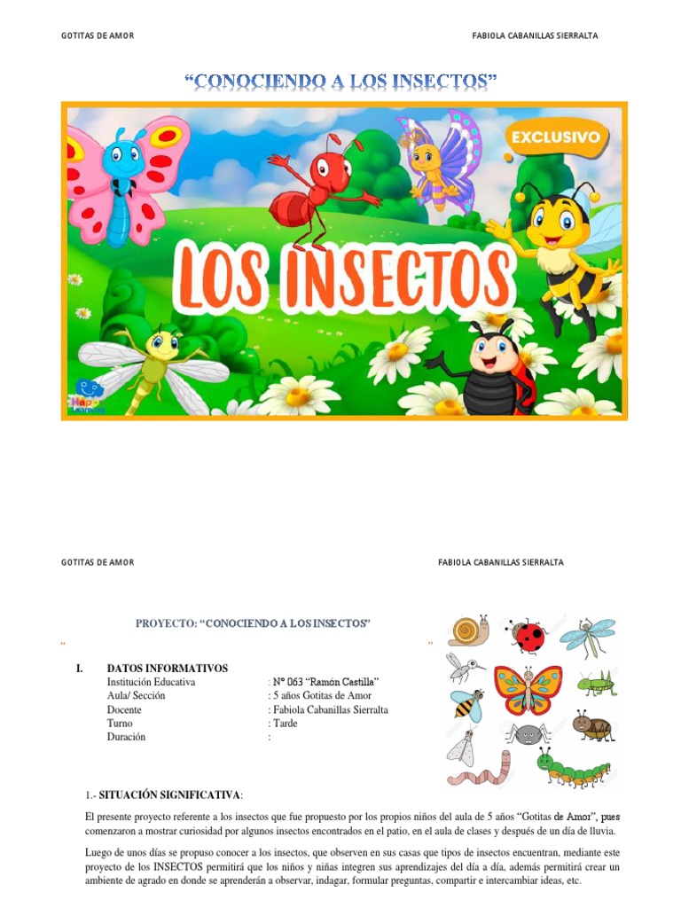 Proyecto Insectos-2 | PDF | Aprendizaje | Insectos