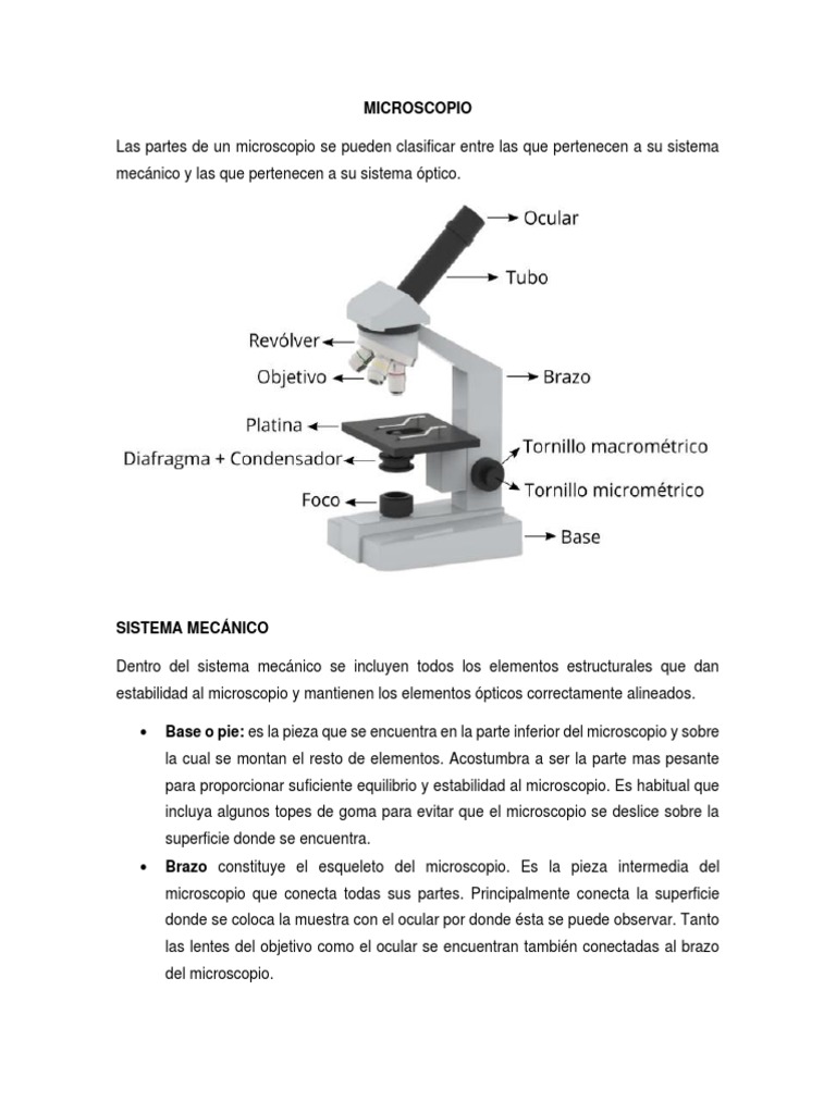 Microscopio y Laboratorio | PDF | Lente de la cámara | Óptica