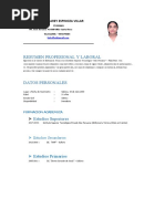 Curriculum Vitae Brayan 1 | PDF