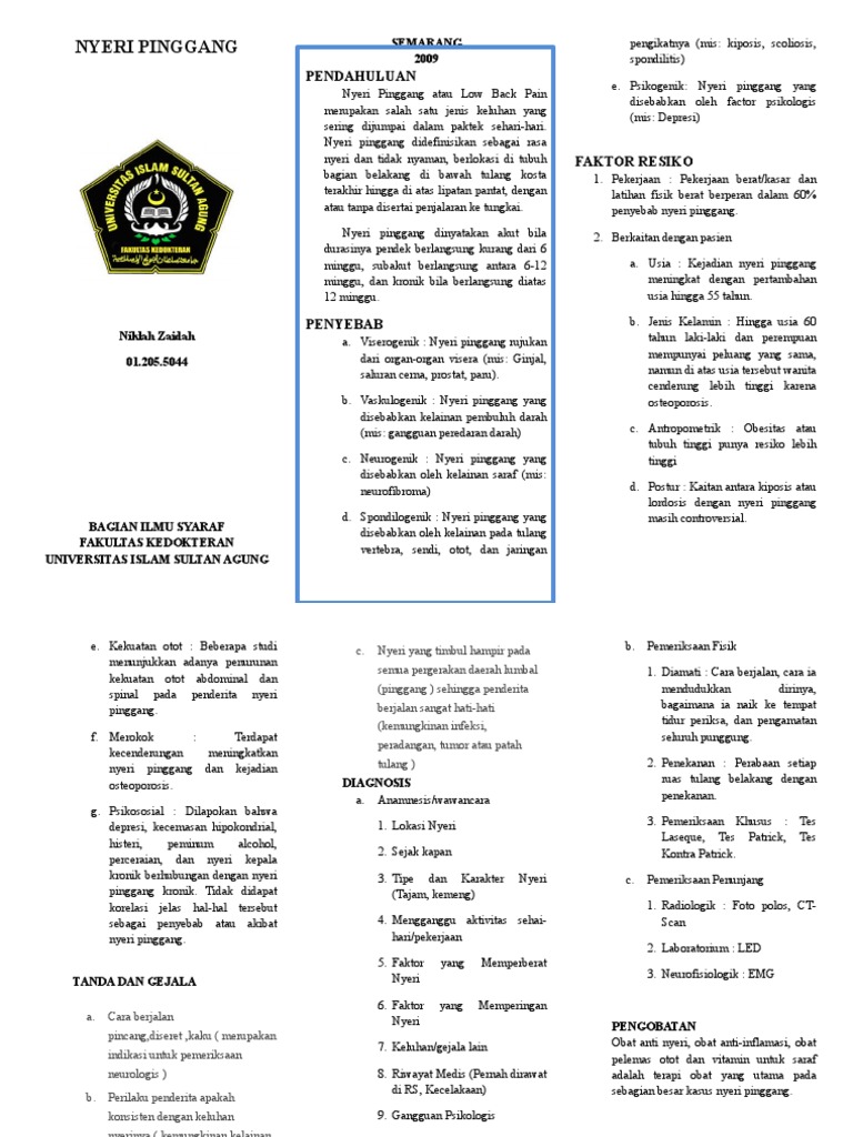 Contoh Pamflet Penyuluhan | PDF