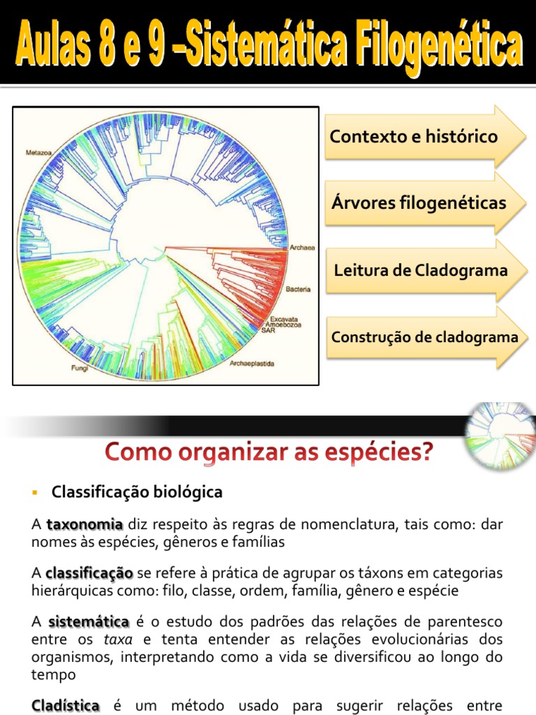 Diversidade Aulas 8 e 9 - Sistematica Filogenetica Corrigir Construcao | PDF | Filogenética ...