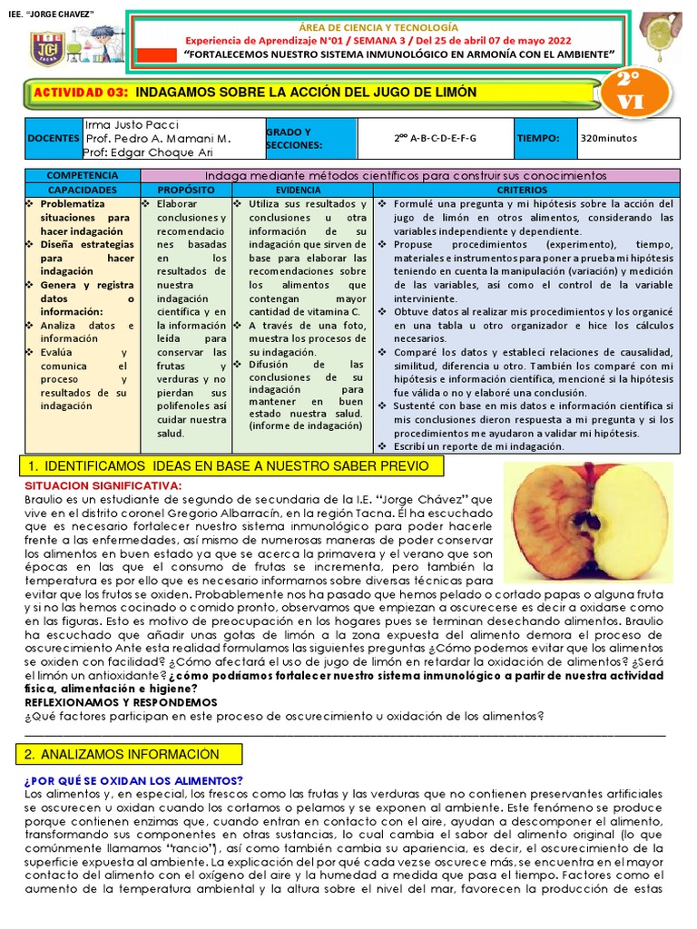 Actividad N°02 Segundo | PDF | Antioxidante | Alimentos