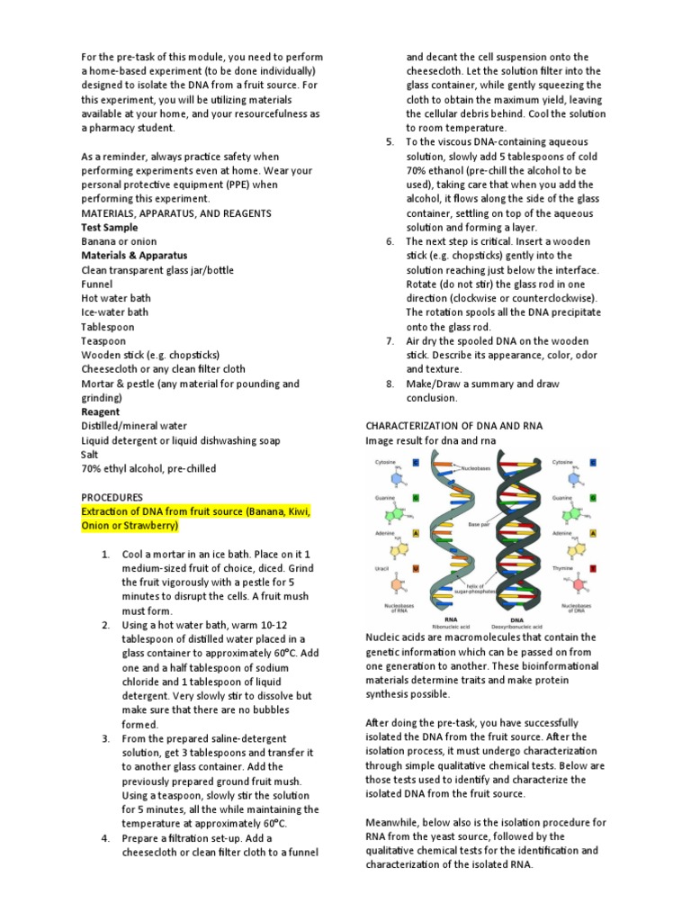 Biochem Lab Finals | PDF | Translation (Biology) | Dna
