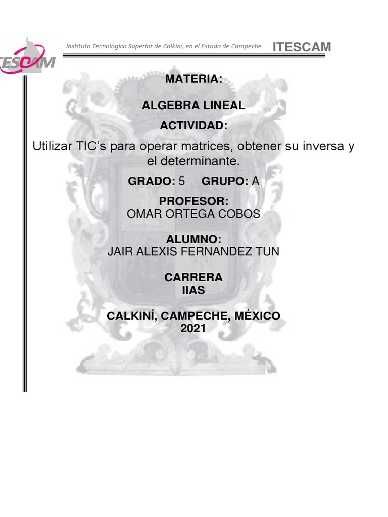 Act P2 - Utilizar TIC's para Operar Matrices, Obtener Su Inversa y El Determinante | PDF