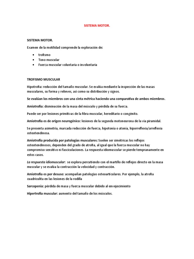 Sistema Motor Neuro | PDF | Músculo esquelético | Hombro