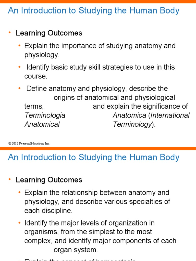 Intro To Human Anatomy Martini | PDF | Anatomical Terms Of Location ...