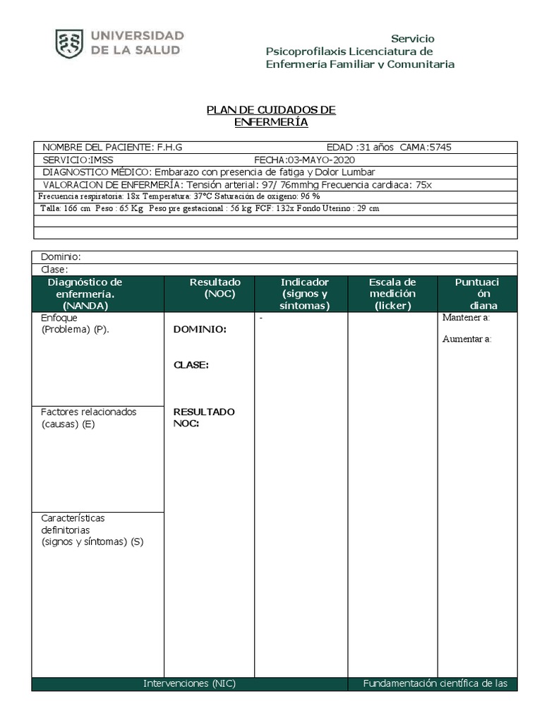 Formato Pae Pdf Enfermería Ciencias De La Salud