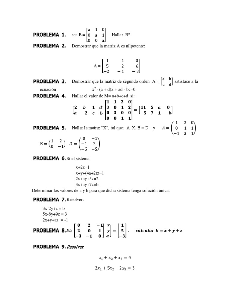 Problemas Matrices 2 | PDF