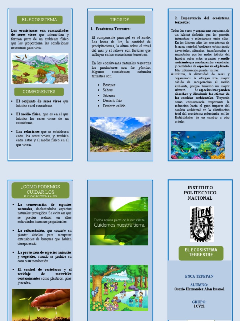 Osorio Hernandez Alan Imanol TRIPTICO ECOSISTEMA TERRESTRE | PDF | Ecosistema | Suelo