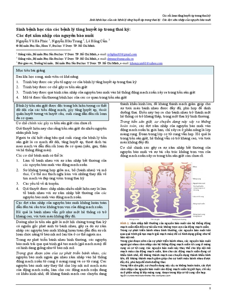 Sinh - Benh - Hoc - Cua - Cac - Benh - Ly - Tang - Huyet - Ap - Trong - Thai - Ky - Revised ...