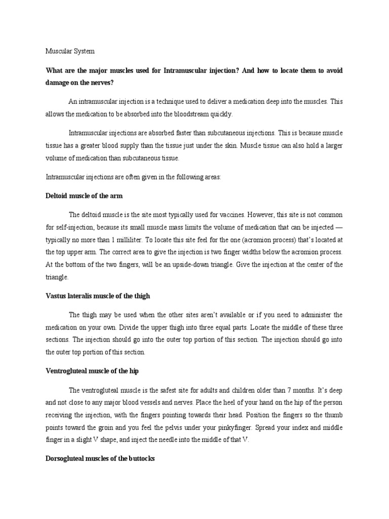 Major Muscles Used For Intramuscular Injection | PDF