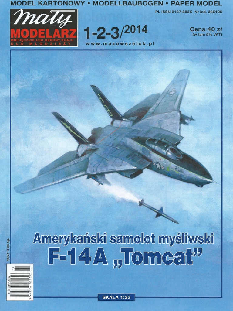 F-14 Tomcat | PDF