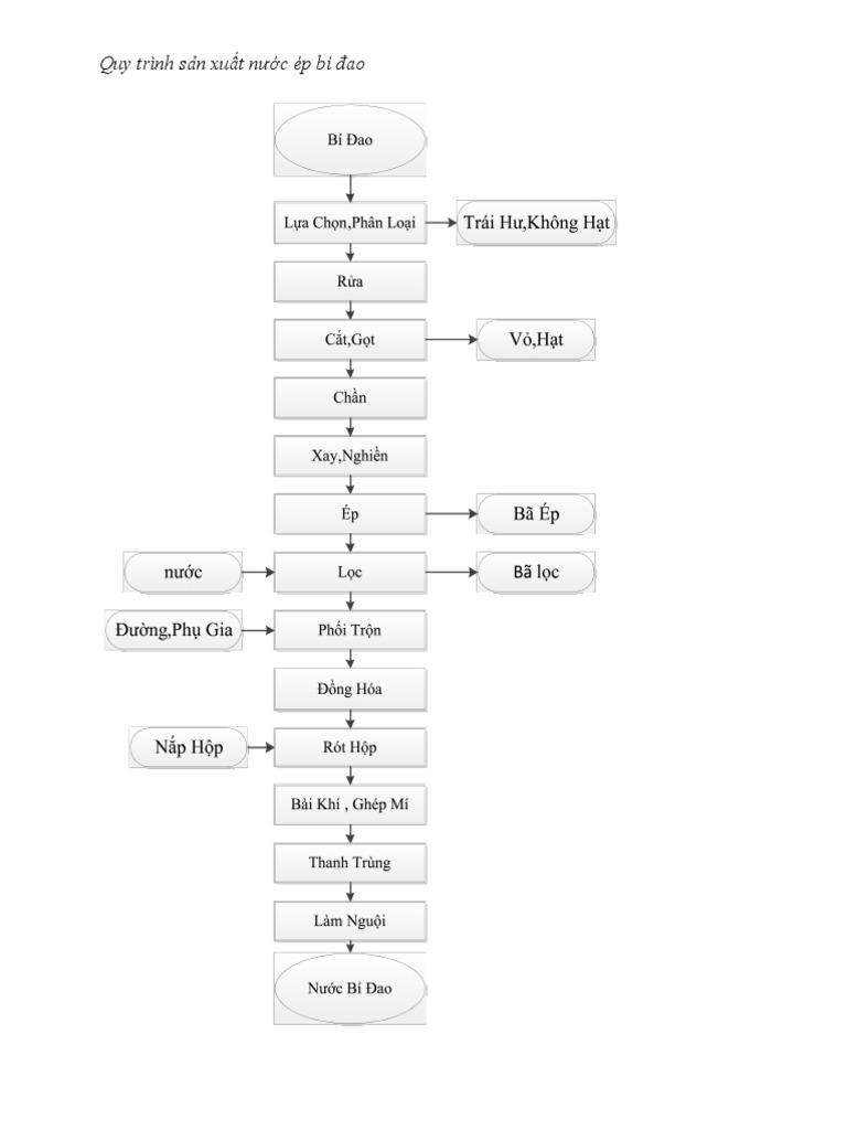 (123doc) - Quy-Trinh-San-Xuat-Nuoc-Ep-Bi-Dao | PDF