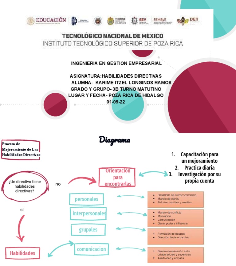Diagrama-Mejora de Habilidades Directivas | PDF